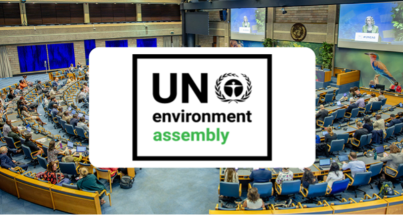 The United Nations Environment Assembly adopted a bold resolution on ...